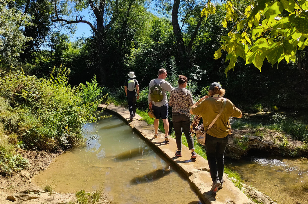 Balades : explorations sensibles de la rivière Mosson - En Commun