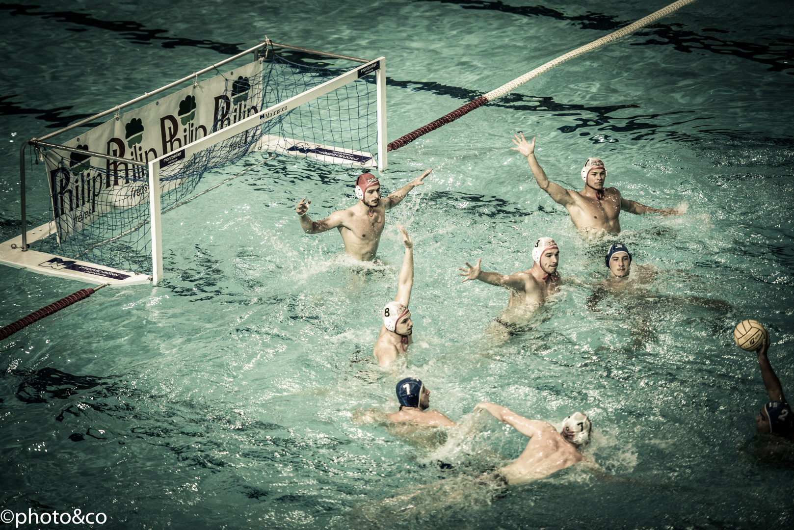 Du 19 au 22 février 2026, le Montpellier Water-Polo reçoit l'Europe à ...